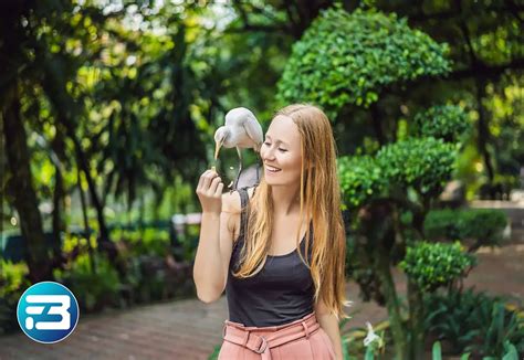 English Tagalog Translated Parallel Corpora For Environment Domain