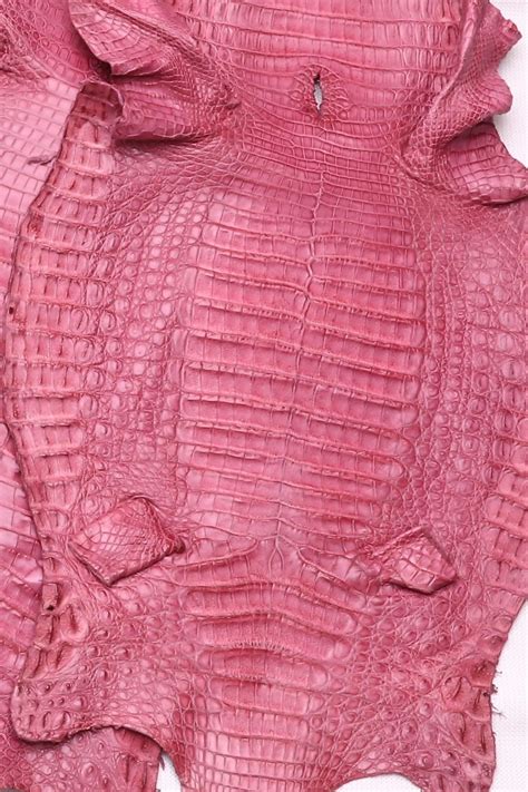 Caimen Skin Leather Exoticleathersbyray