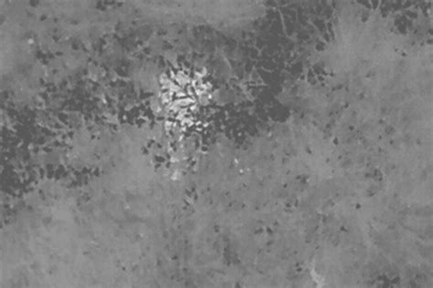 Landmines Object Detection Dataset By Landmines