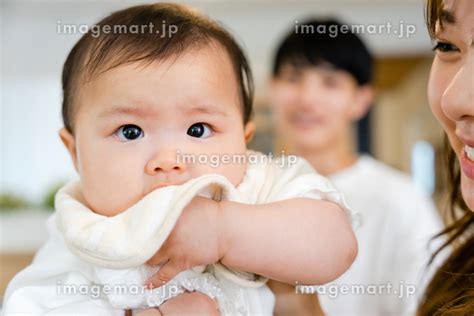 抱っこされるカメラ目線の日本人の赤ちゃんと母親と父親 （人物）の写真素材 215687461 イメージマート