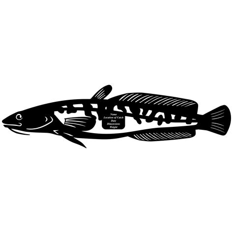 Premium Acrylic Burbot Mount Swift Ts