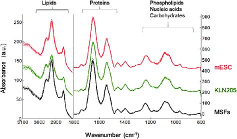 The Mean Ftir Spectra Solid Lines ± Standard Deviation Dotted Lines