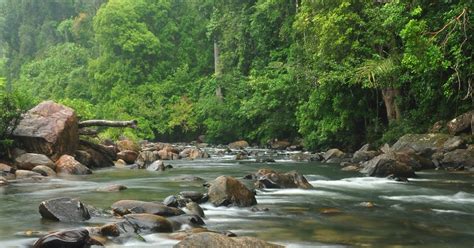 Lubuk Yu Selamat Datang Ke Taman Rimba Lubuk Yu Eco Park
