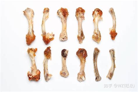 2023 年个人 远程新加坡星展银行开户指南及常见问题 知乎