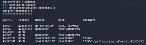 Mimikatz工具使用msf的mimikatz在哪个路径 Csdn博客