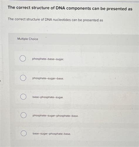 [solved] The Correct Structure Of Dna Components Can Be Pr
