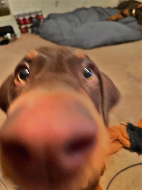 Excuse Me Have You Seen My Glasses Raww