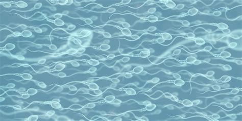 Impact Of Obesity On Male Fertility Live Healthy Md