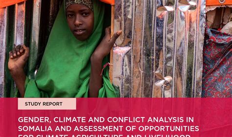 Policy Development And Delivery Hacof