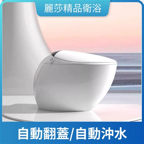 麗莎衛浴【高品質】y1鯨魚智慧馬桶 110v家用馬桶 香薰除臭 自動翻蓋 自動沖水 即熱式一體座便器 免治馬桶 蝦皮購物