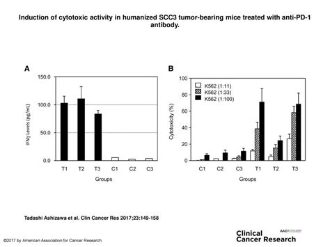 Induction Of Cytotoxic Activity In Humanized Scc3 Tumor Bearing Mice