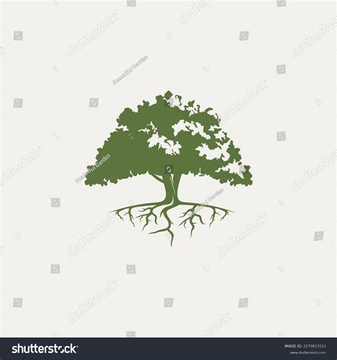 Tree Roots Logo Design Vector Isolated Stock Vector Royalty Free 2270813153 Shutterstock