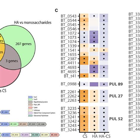 Transcriptomics Does Not Indicate A Separate Pathway For Ha