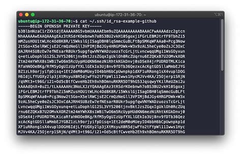 github actions sederhana untuk auto testing and deploy ke server vps by