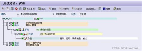 Sap 报表导出权限设置sap 导出电子表格 权限 Csdn博客