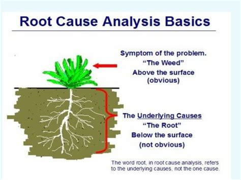 CAPA Root Cause Analysis And Risk Management PPT CAPA Root Cause Analysis And Risk Management PPT