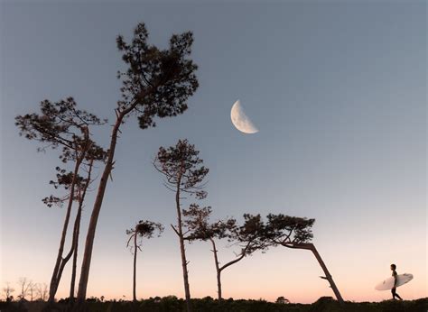 Nouvelle lune du avril en bélier l appel de la liberté FemininBio