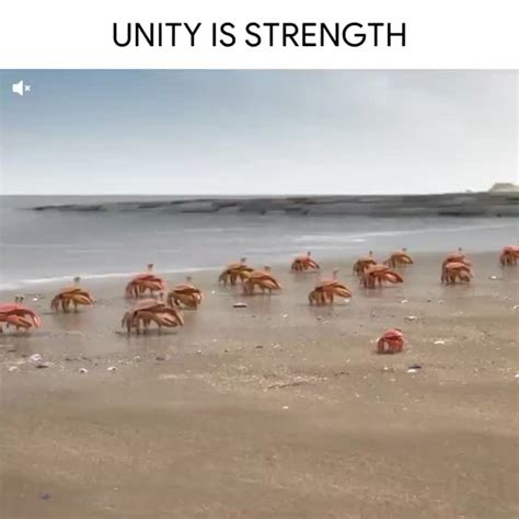 krishna joshi on linkedin unity leadership teamwork unitymatters successtogether