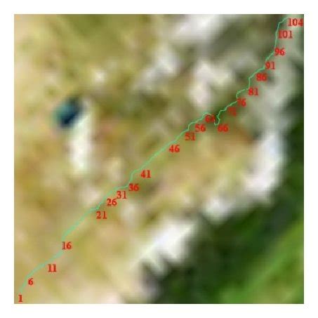 Algorithms Results At Grid Size Of Download Scientific Diagram