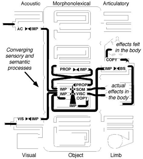 13 Sensory And Semantic Inputs Converging At The Implicational Level Download Scientific Diagram
