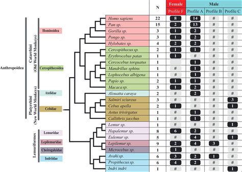Determined About Sex Sex Testing In 45 Primate Species Using A 2y1x