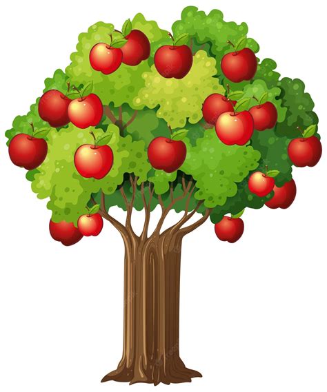Tree Clipart With Fruits At Margaret Cass Blog