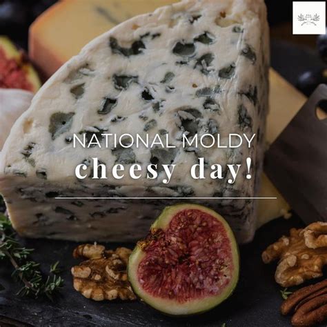 Celebrate National Moldy Cheese Day