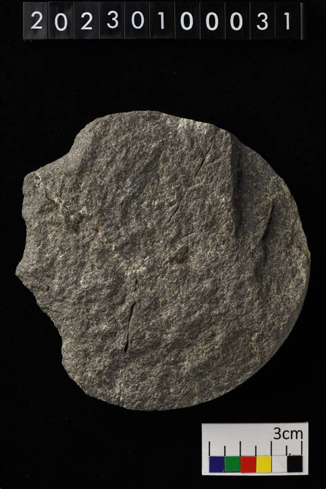 遺物詳細資料 國家考古遺址出土遺物典藏系統