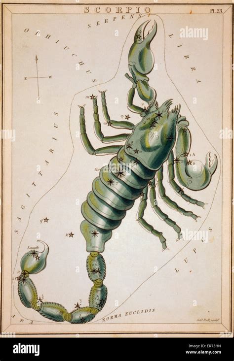 Skorpion Astronomische Diagramm Bilden Das Sternbild Skorpion Datum