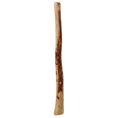Small Gloss Finish Didgeridoo 7884 Buy Online Worldwide Shipping
