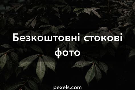 Найкращі фото 10 000 за запитом «วอลล์เปเปอร์ 4k สีดำ สี สีน้ำเงิน