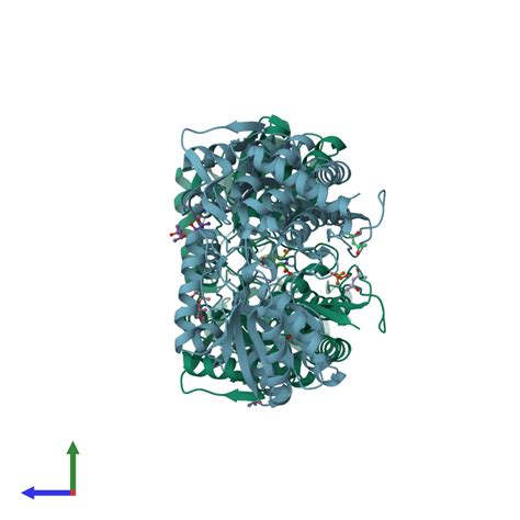 PDB Bhq Gallery Protein Data Bank In Europe PDBe EMBL EBI