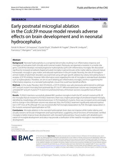 Pdf Early Postnatal Microglial Ablation In The Ccdc39 Mouse Model