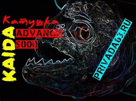 Катушки KAIDA. KAIDA ADVANCE 5000. - YouTube