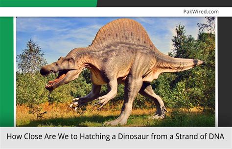 Jurassic Park 2016 How Close Are We To Hatching A Dinosaur From A
