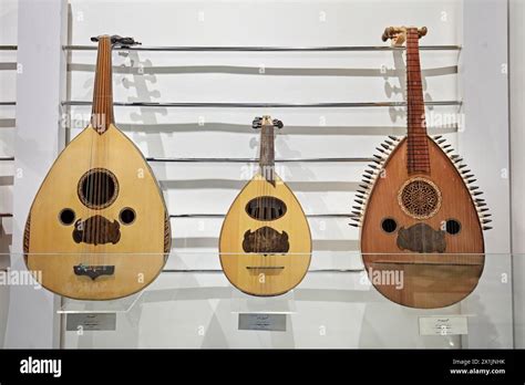 Persian Ouds Short Neck Lute Type Pear Shaped Fretless String Musical