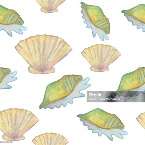 다양한 색상과 유형의 바다 껍질 완벽 한 패턴은 섬유 디자인 스티커 카드 배너에 대 한 흰색 배경 수채화 일러스트 베이스에 고립되어 있습니다 Unmanned