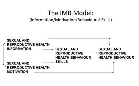 Chapter 12 15 Development Of Sexuality Flashcards Quizlet