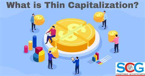 What Is Thin Capitalization The Scg Chartered Accountants Chartered