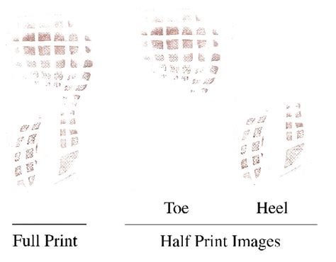 Partial Shoeprint Images Download Scientific Diagram
