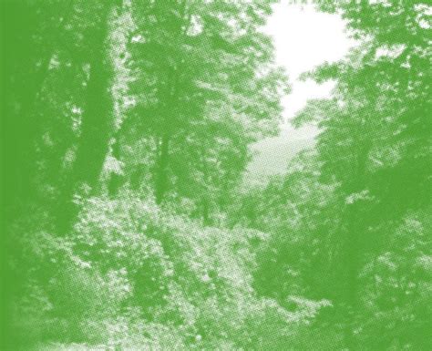 Lower Carbon Website Sustainable Website Dalkia Uk