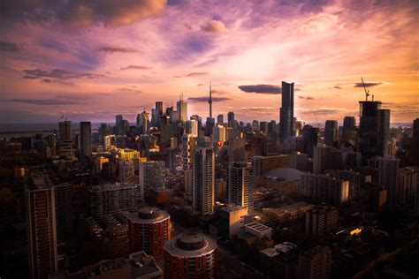 Toronto Archives Shedoesthecity