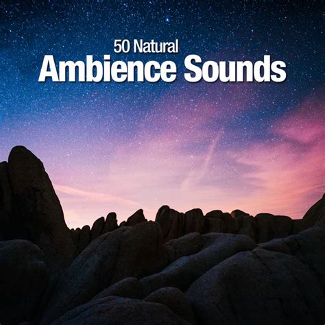 Rattle Raindrops Música E Letra De Relaxing Nature Ambience Spotify