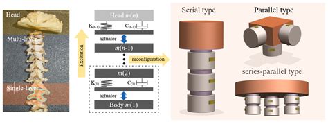 Modeling And Analysis Of Bio Inspired Reconfigurable Piezo Driven