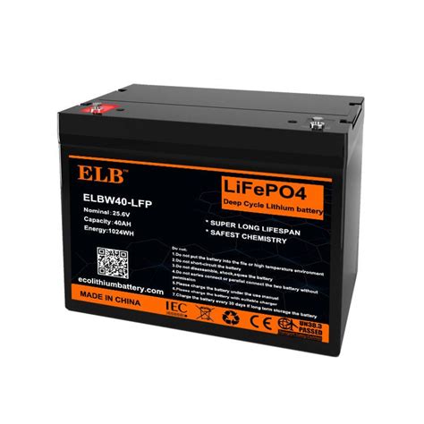 Lithium Ionen Batterie ELB Energy Group Rechteckig 24 V IEC