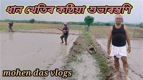 ধান খেতিৰ কঠিয়া শুভাৰম্ভণি Mohen Das Vlogs New Assamese Video 2023
