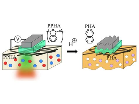 “phototriggered Depolymerization Of Flexible Polyphthalaldehyde