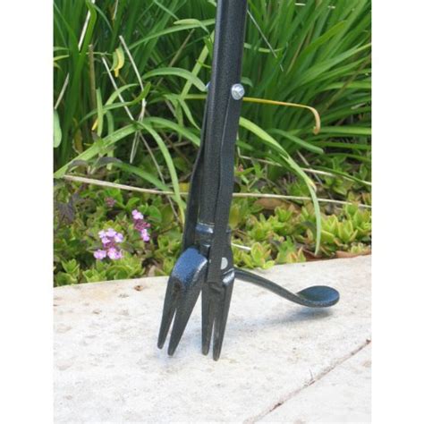 Crabgrass Weed Puller At Renato Shryock Blog