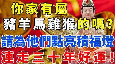 觀音菩薩賜福：你家有屬「豬羊馬雞猴」的人嗎？明年貴人找上門，5年內窮轉富，10年內全家富！【禪定自在】生肖 運勢 命理 屬相 風水