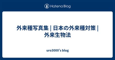 Uro S Blog
